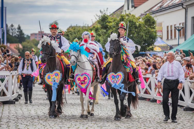 The Moravian-Slovak Year | South Moravia