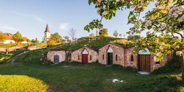 Wine cellars at Vrbice Hill | South Moravia