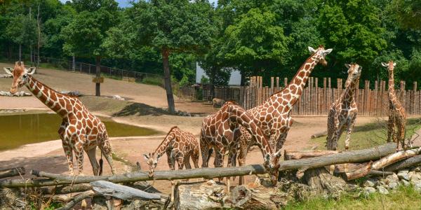 Zoo Brno | South Moravia