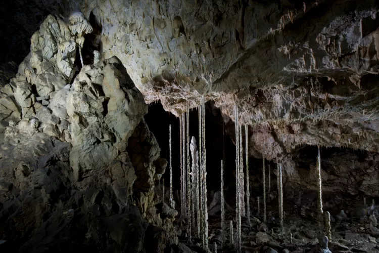 Kateřinská Cave (Catherine Cave) | South Moravia