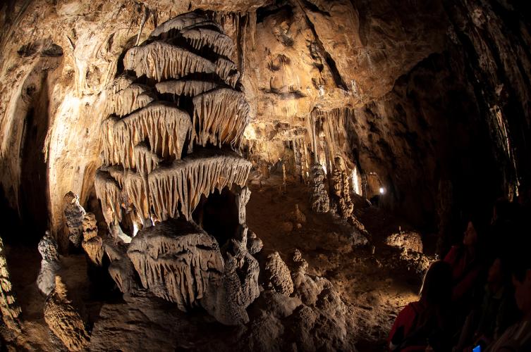 The Punkva Caves | South Moravia