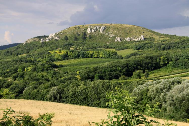 The Pálava Protected Landscape Area | South Moravia