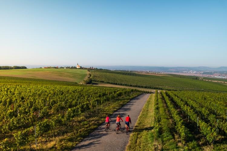 Moravian Wine Trails | South Moravia